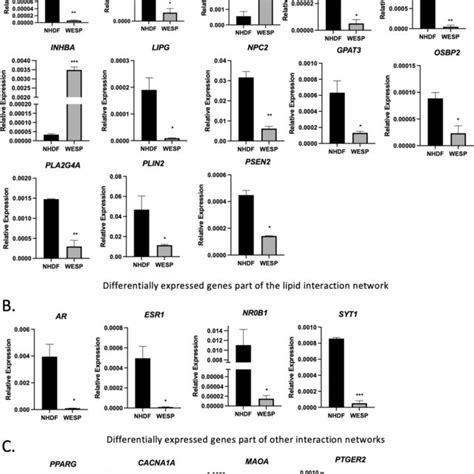 Confirmation Of Differentially Expressed Genes Identified By Rna Download Scientific Diagram