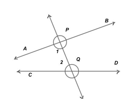 Euclid S Parallel Postulate Definition Examples Lesson Study Com