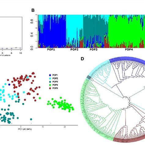 Population Structure Of The 265 Durum Wheat Lines Based On 13504 Snp