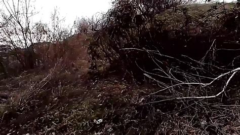 Un Paseo Sexy Por La Naturaleza Free Hd Porn A Xhamster