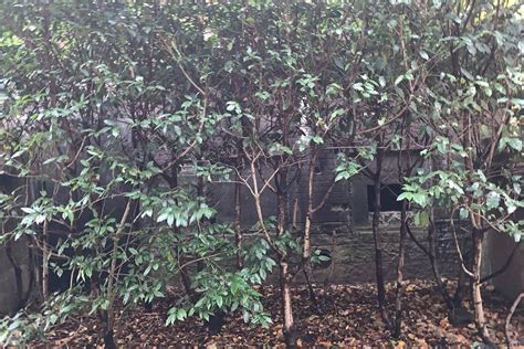 Bunker Ctf 7 Saive Saive Blegny