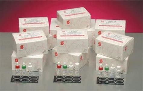 Stanbio Laboratory 1155 100 100 Test