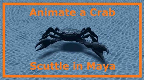 Escape Studios Animation Blog Crab Scuttle Animation Tutorial