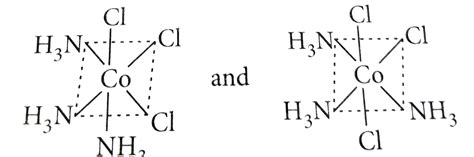 Which Of The Following Pairs Of Structures Represents Facial And Merid