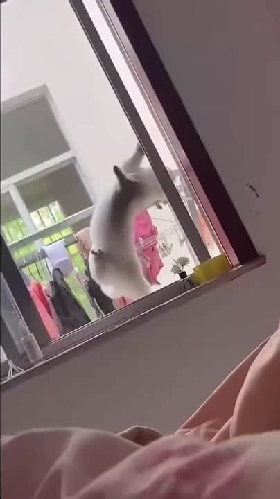 Igor Rajnjak 🎯 On Linkedin Stakeholder Inviting Himself To The Teams Retro 😹