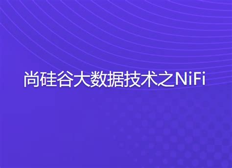 尚硅谷大数据技术之nifi 大虾资源站