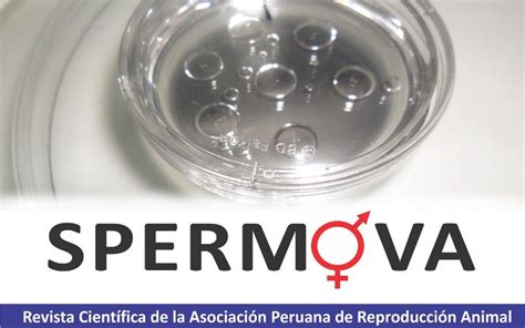 Inicio