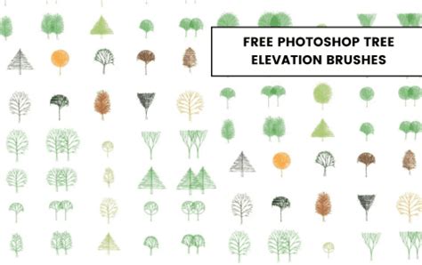 Free Trees In Elevation Illustration Download