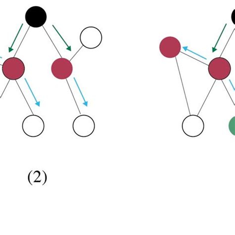 Flooding With Random Walk Frw Download Scientific Diagram