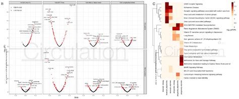 Circulation：代谢组学变化揭示早期成年人心血管风险因素