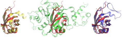 Protein Sequence Optimization Computational Systems Biology Group
