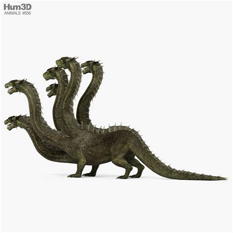 히드라 3d 모델 다운로드 신화 생물 On