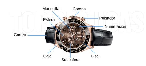 Como Se Llama Las Partes De Un Reloj