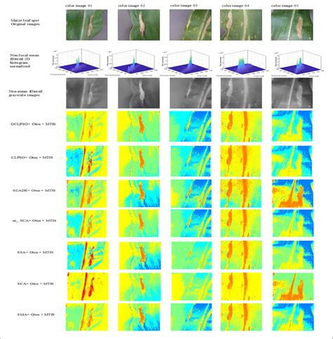 figure 1 from multi threshold image segmentation of maize diseases