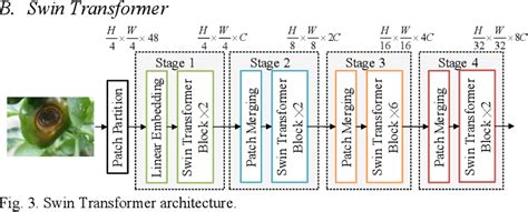 Figure 1 From An Instance Segmentation Method For Anthracnose Based On Swin Transformer And Path