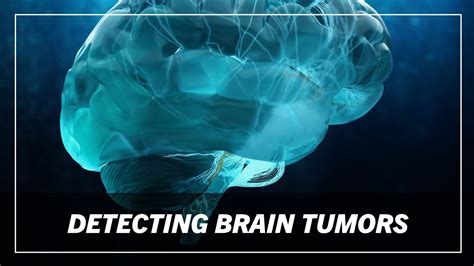 Brain Tumor Segmentation 2019