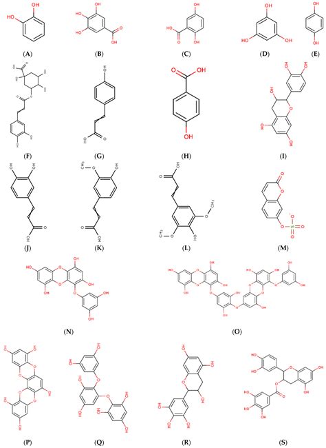 Dermo Cosmetic Benefits Of Marine Macroalgae Derived Phenolic Compounds