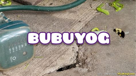 Bubuyog ♣︎ Youtube