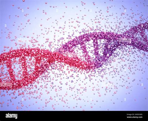 Dna Molecule Computer Illustration Of A Double Stranded Dna Deoxyribonucleic Acid Molecule