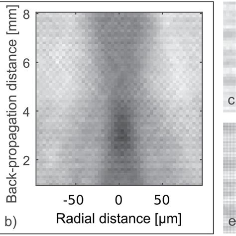 Back Propagation Of An Interference Pattern From A Micro Sphere Images Download Scientific