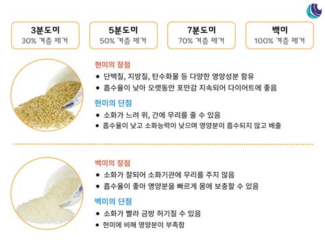 쌀에 대해서 알아보기 국산 쌀품종 현미 백미 쌀고르기 농식품정보