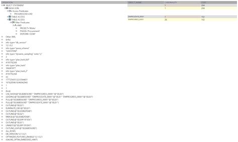 Optimization Oracle Same Query But Different Plan In 11g And 12c