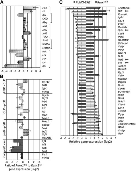 potential target genes of runx1 in b cell development revealed by
