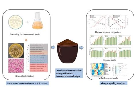Isolation And Characterization Of A Thermotolerant Acetic Acid Bacteria Strain For Improved
