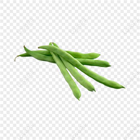 Green Beans Color Photography Chart Greencolored Beansstill Life Png