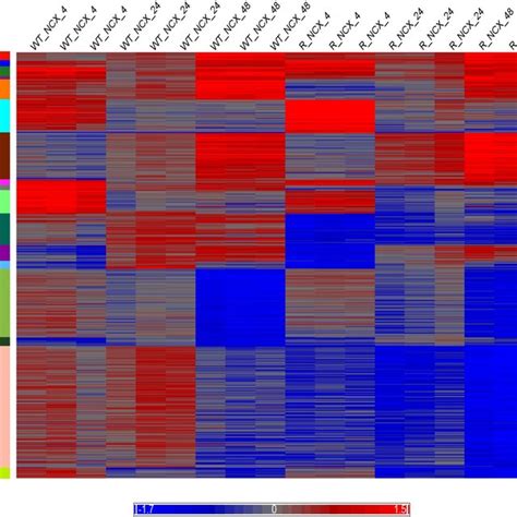 Hierarchical Clustering Heat Map Of EPIG Pattern Genes Average Linkage