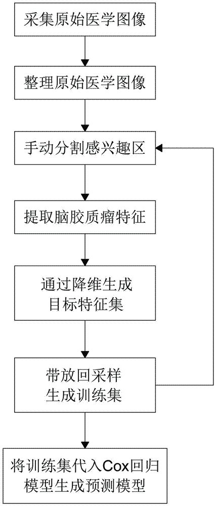 一种基于影像组学的脑胶质瘤分级预测方法与流程