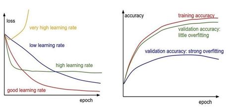 Training And Validation Overfitting And Learning Rate Of Sample Image