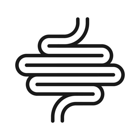 Human Digestion Tract Vector Art At Vecteezy