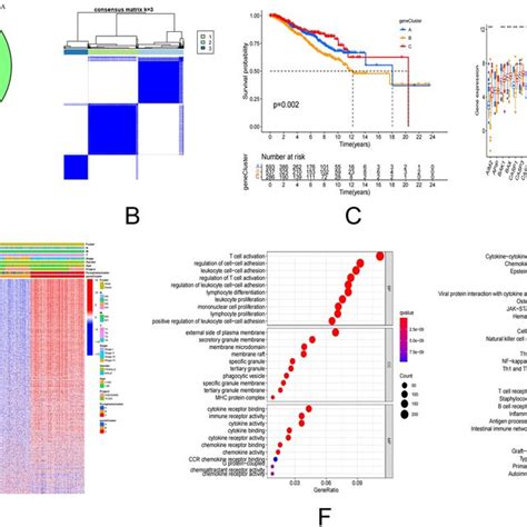 Gene Subtypes Based On Prgs A Venn Diagram Showing Degs For The Download Scientific Diagram