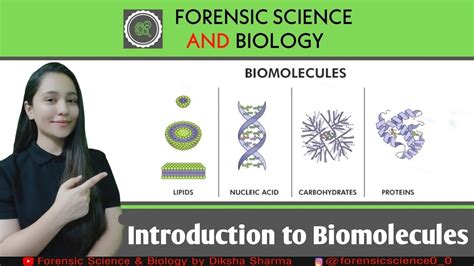 Biomolecules Types Of Biomolecules Youtube
