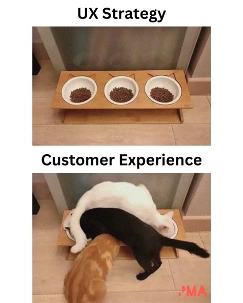 How To Improve Your Ux Strategy Sunitha Shajahan Shahabas Posted On The Topic Linkedin