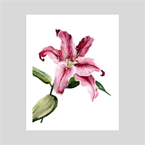 Stargazer Lily 1 An Art Print By Paulina Navarro INPRNT