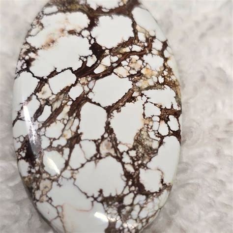Selected Dendrite Fossil Cabochon Natural Dendrite Fossil Natural Selected Dendrite Fossil Cabochon Natural Dendrite Fossil Natural