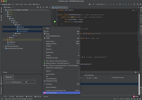 Pitest Idea Easily Run Pit Mutation Testing From And See Run Results