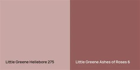 Little Greene Hellebore Vs Little Greene Hellebore Comparison