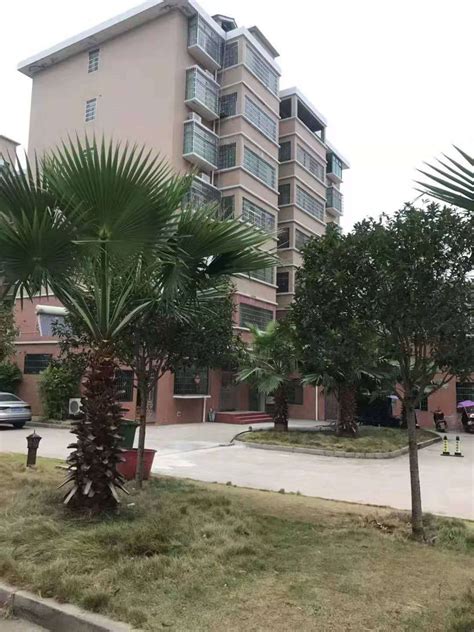 大浦房子出售房子出售出售房子图片大山谷图库