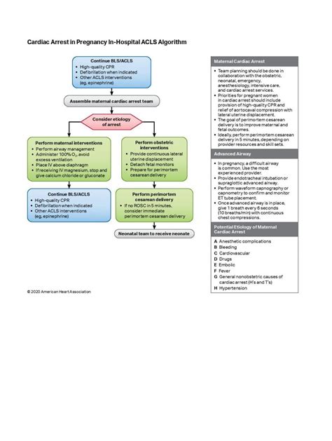 Important Algorithms First10em