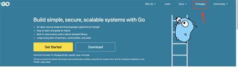 GO01 搭建开发环境Go开发初识Go语言 go 新建项目 CSDN博客