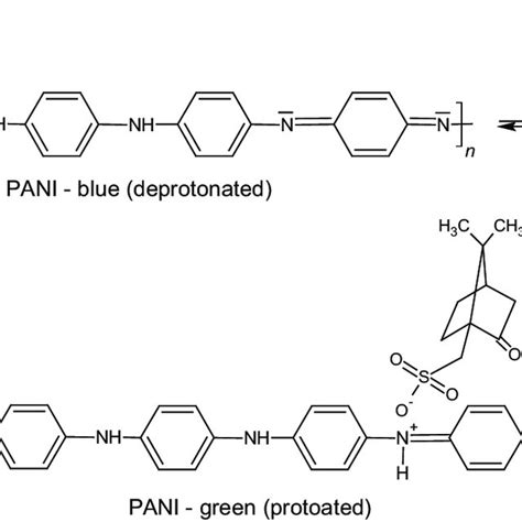 Chemical Structure Of Polyaniline Download Scientific Diagram