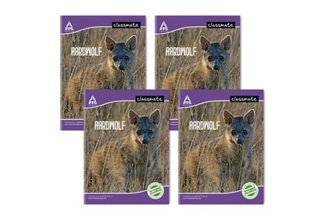 A4 Classmate 200 Pages Notebook At ₹ 48 Piece Classmate Notebook In Thane Id 2856373602948