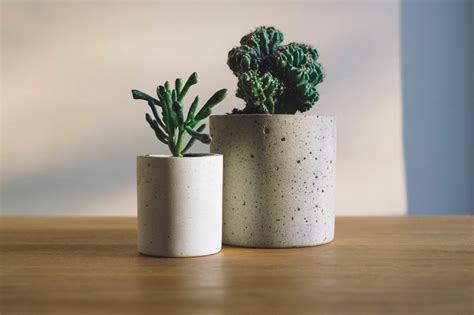 Trendiga Inomhusväxter 2021 4 Stora Växttrender Residence Magazine