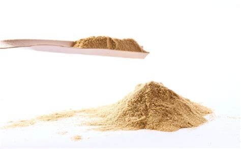 Water Soluble Hydrolyzed Animal Protein At Best Price In Indore Pharmco