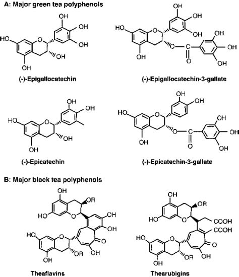 Green Tea Extract Chemical Composition At Sarah Scoggins Blog