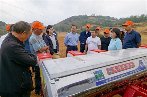 西南丘陵山区玉米机械化播种现场会在弥勒市举行 云南农业大学 新闻网