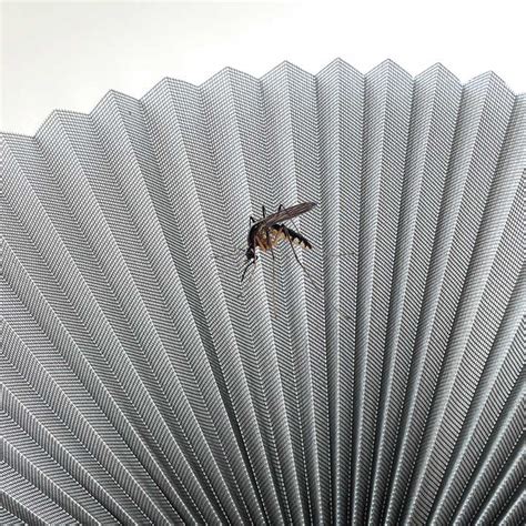 2025 Retractable Mosquito Net Insect Resistant Window Screen